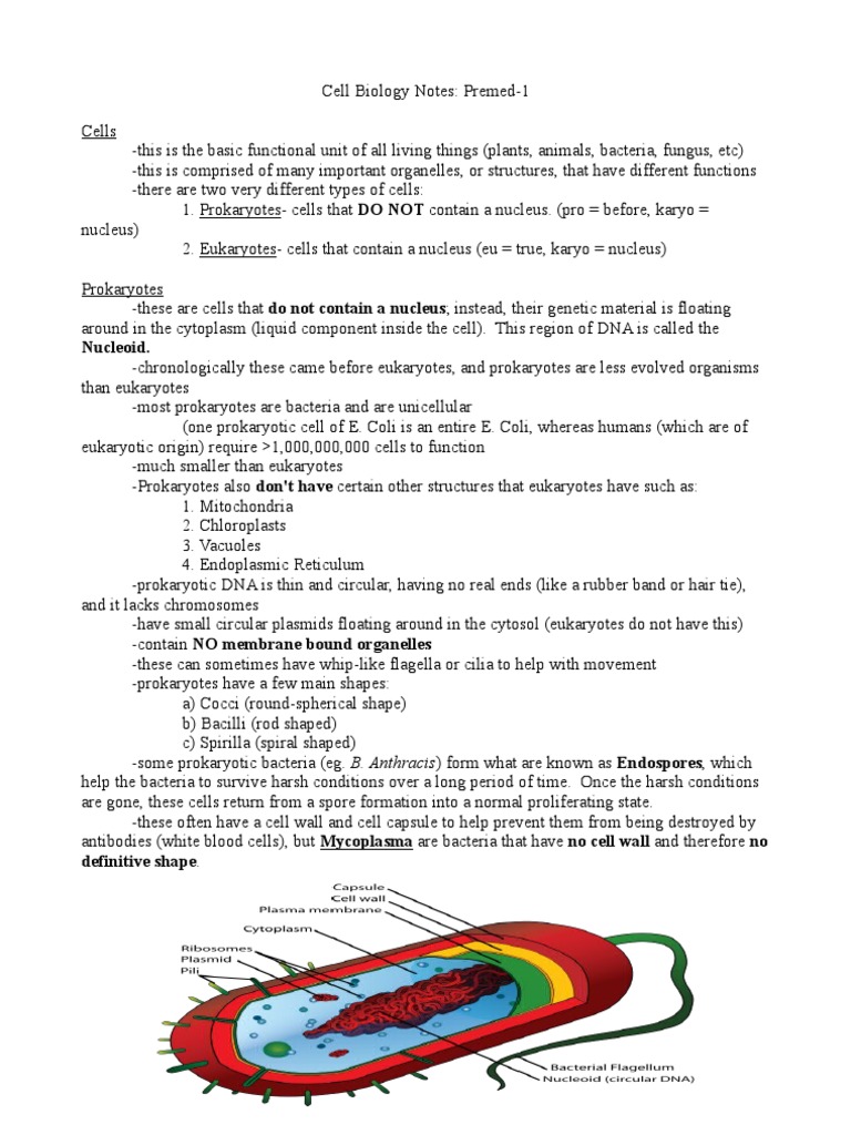 Cell Biology Notes | PDF | Cell Nucleus | Cell (Biology)