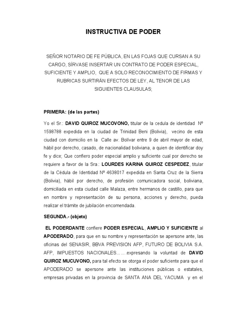 Instructiva de Poder | PDF | Gobierno | Justicia