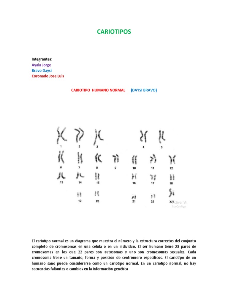 CARIOTIPOS | PDF | Cariotipo | Cromosoma