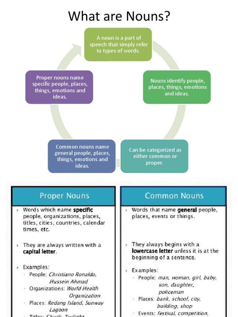 Nouns and Quantifiers Explained | PDF