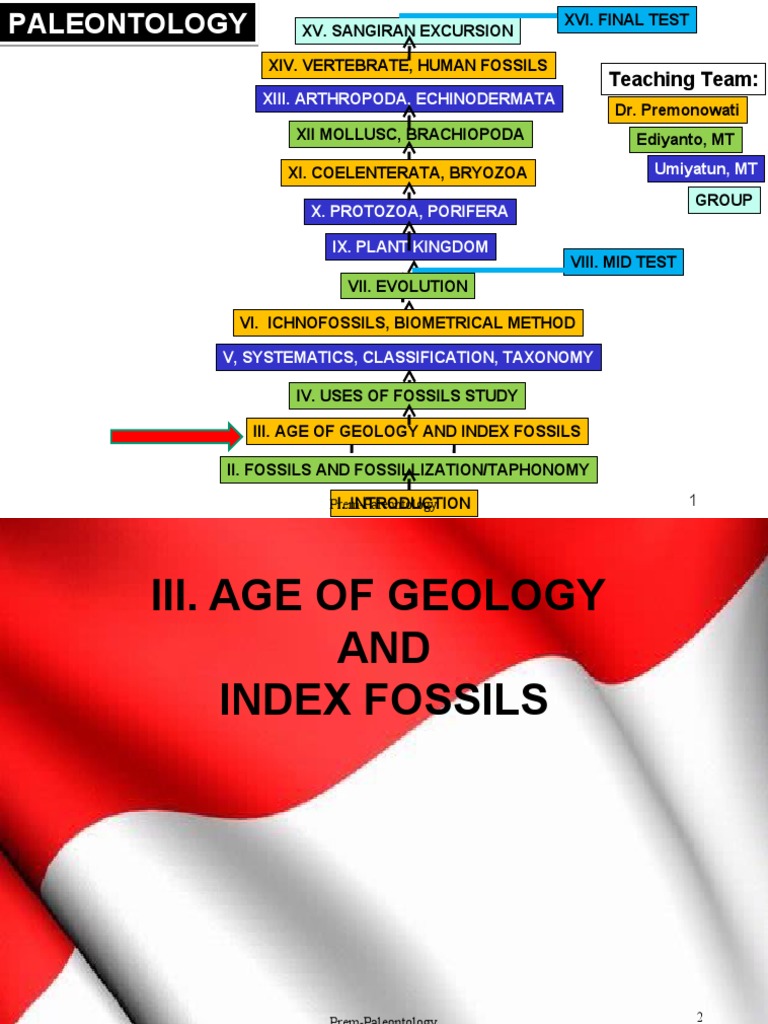 Paleontology for Geology Students | PDF | Stratigraphy | Earth Sciences