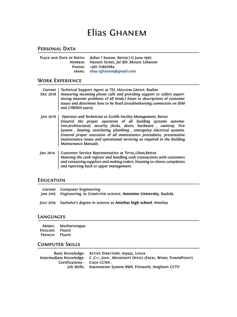 Elias Ghanem: Personal Data | PDF | Business | Computers