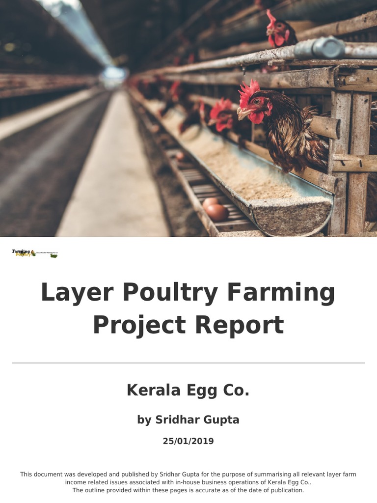 Sample Layer Farming Project Report 10,000 Birds - The Big Book Project ...