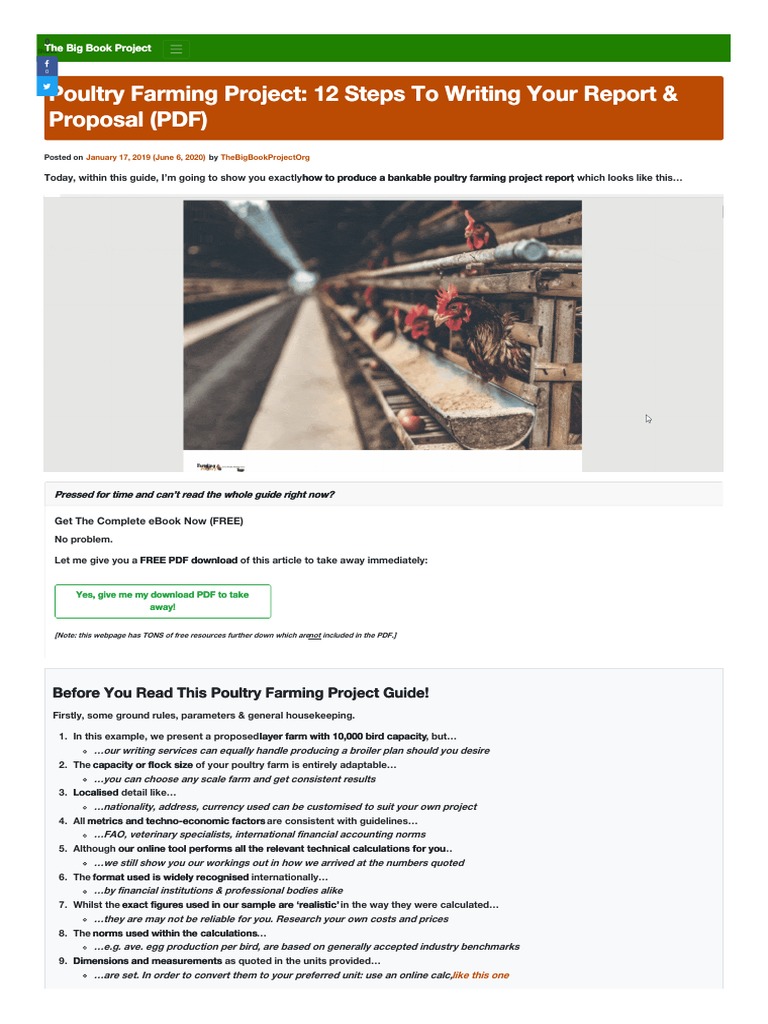 Poultry Farming Project: 12 Steps To Writing Your Report & Poultry ...