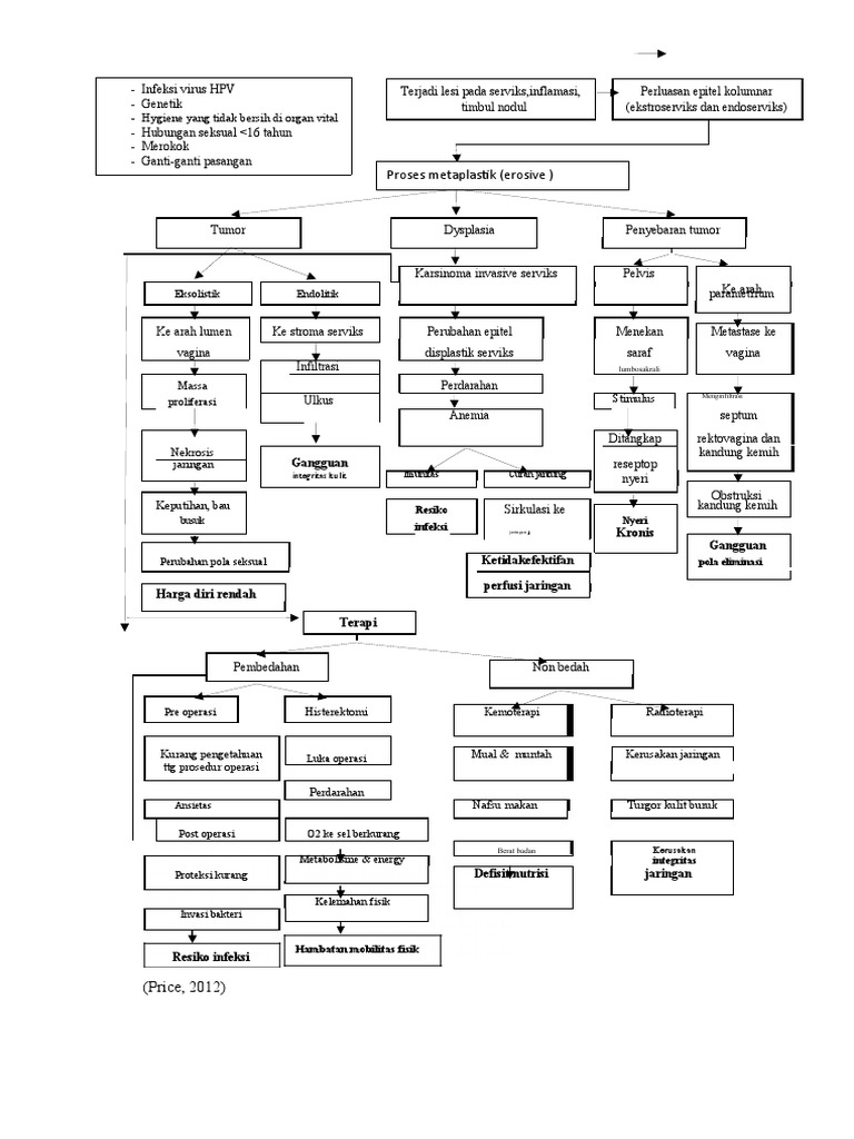Woc Ca Serviks | PDF