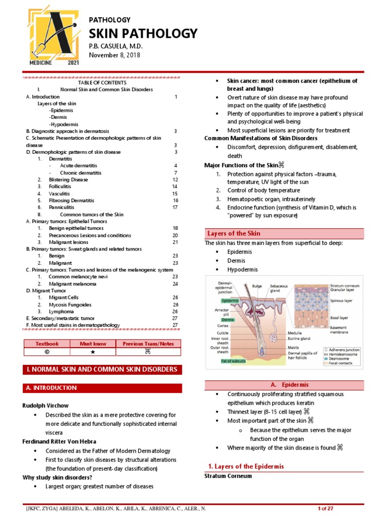 10 Patho Skin Pathology | PDF | Epidermis | Skin