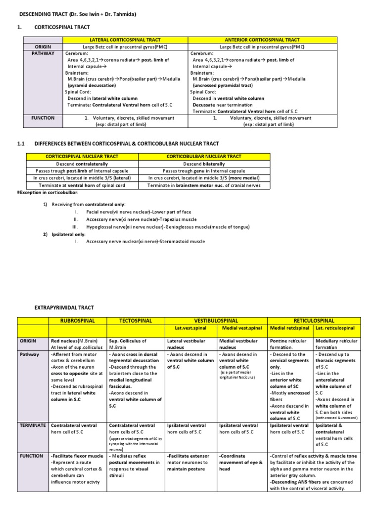 Table Descending Tract | PDF | Spinal Cord | Human Head And Neck
