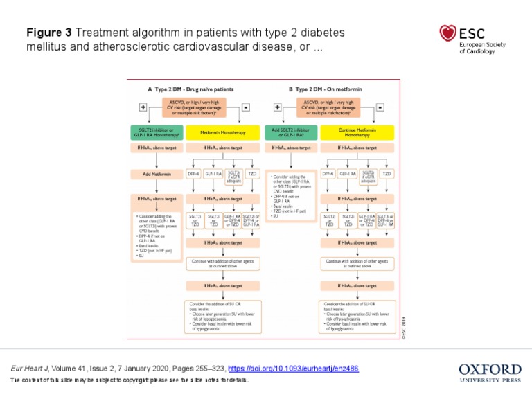Guideline Treatment of T2DM 2020 ESC | PDF