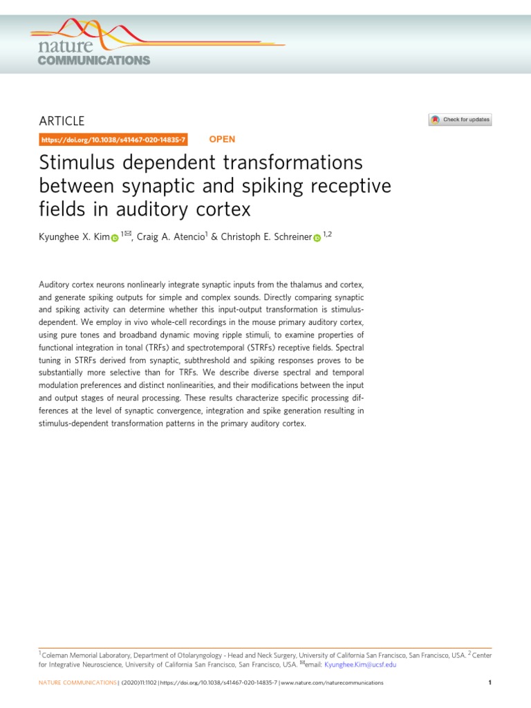 Stimulus Dependent Transformations Between Synaptic and Spiking Receptive Fields in Auditory ...