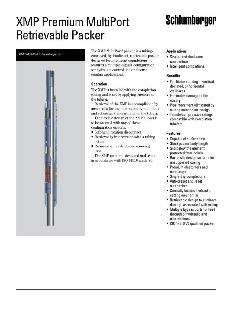 XMP Data Sheet Packer | PDF | Pipe (Fluid Conveyance) | Equipment
