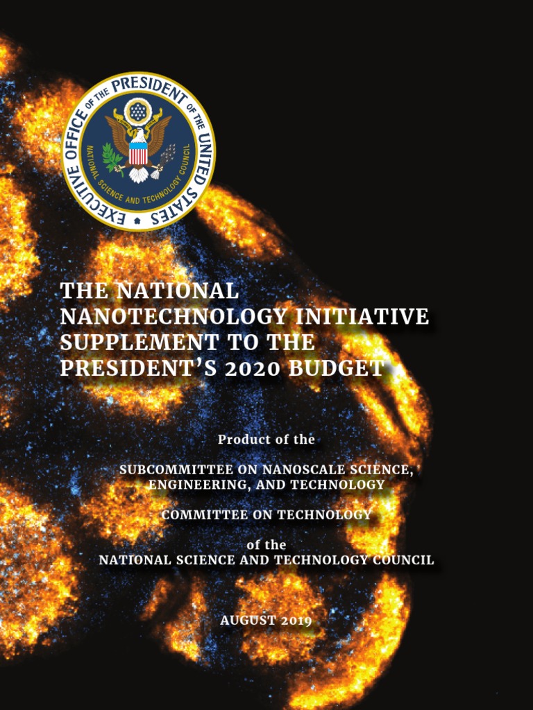 The National Nanotechnology Initiative Supplement To The President'S ...