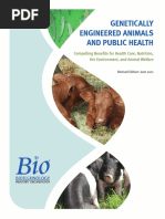 ENVIROPIG | PDF | Genetically Modified Organism | Transgene