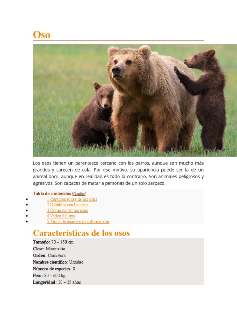 Características de Los Osos | PDF | Osos | Depredadores