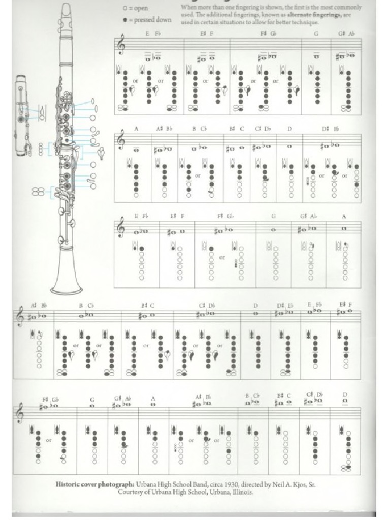 Clarinet Fingering Chart PDF | PDF