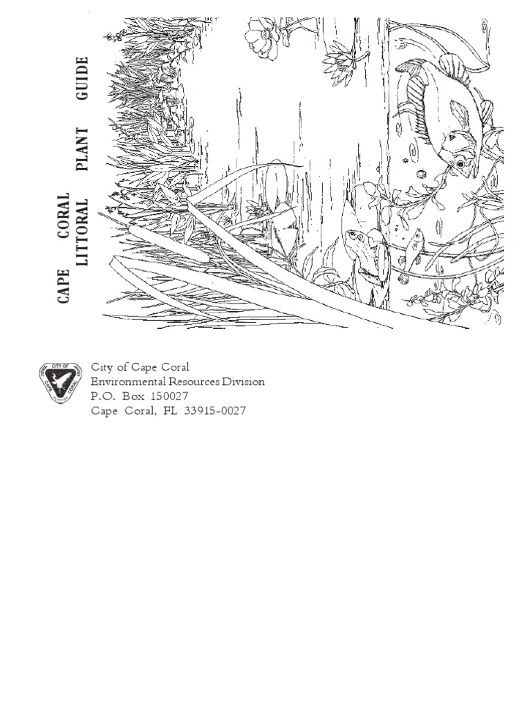 Lit Plant Guide | PDF | Littoral Zone | Plants