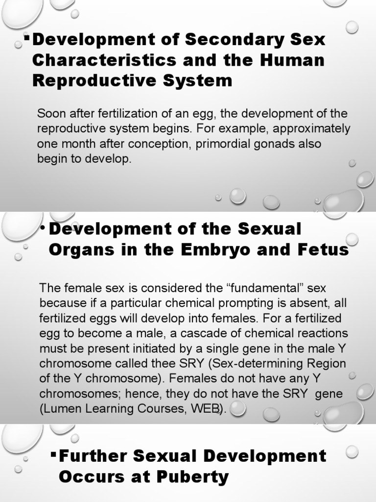 Development of Secondary Sex Characteristics and The Human Reproductive ...