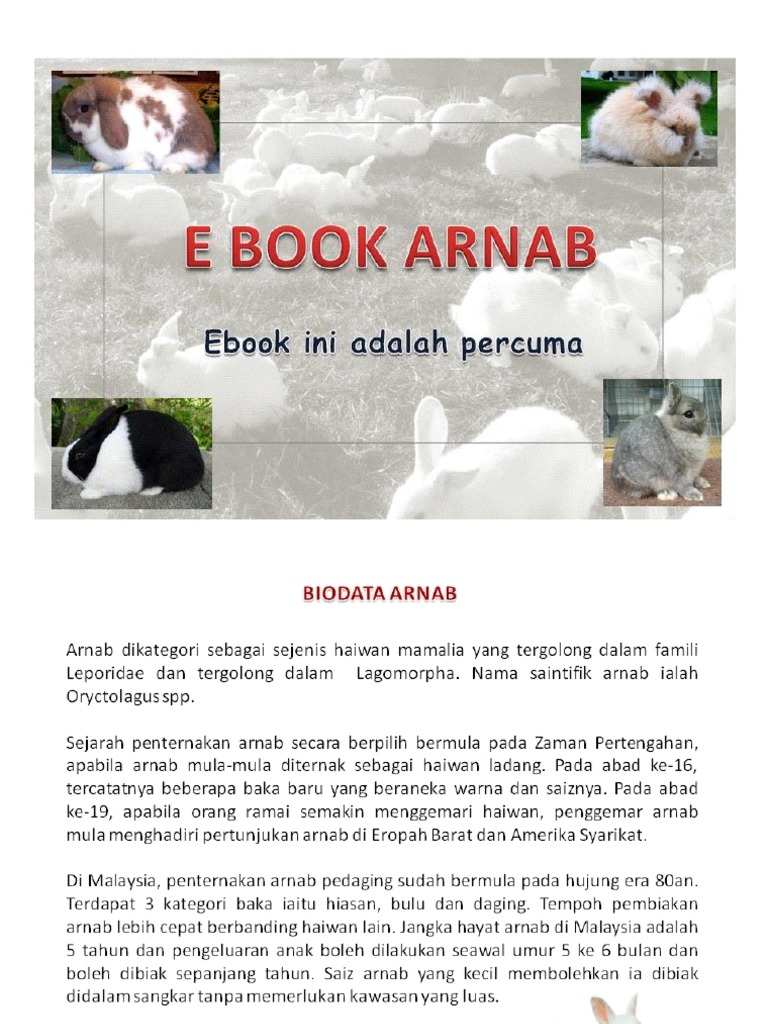 E Book Arnab PDF | PDF