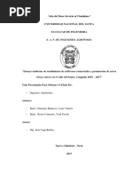 Estructura y Tipos de Limbo en Hojas | PDF | Hoja | Botánica