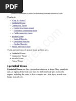 Class 9th Animal Tissue Notes | PDF | Epithelium | Muscle