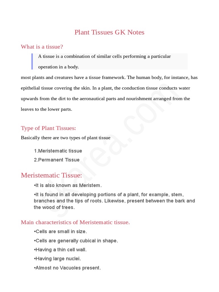 Plant Tissues GK Notes: What Is A Tissue? | PDF | Tissue (Biology) | Leaf
