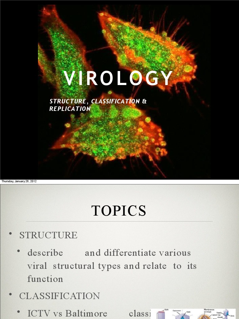 Virology: Structure, Classification & Replication | PDF | Sense ...