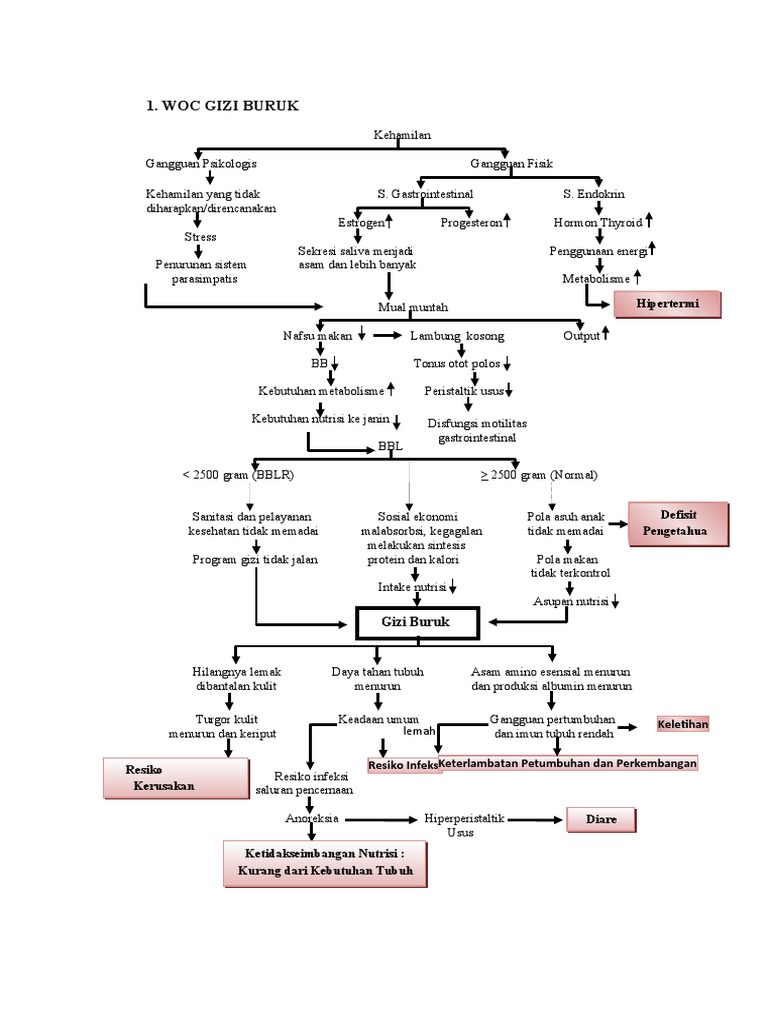 Woc Gizi Buruk | PDF