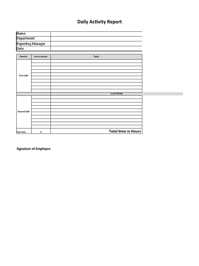 Daily Activity Tracking Report | PDF