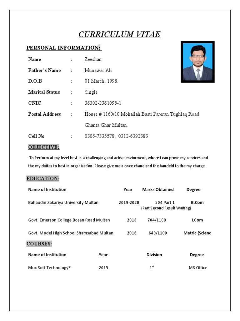 Curriculum Vitae: Personal Information | PDF | Computing | Computing And Information Technology
