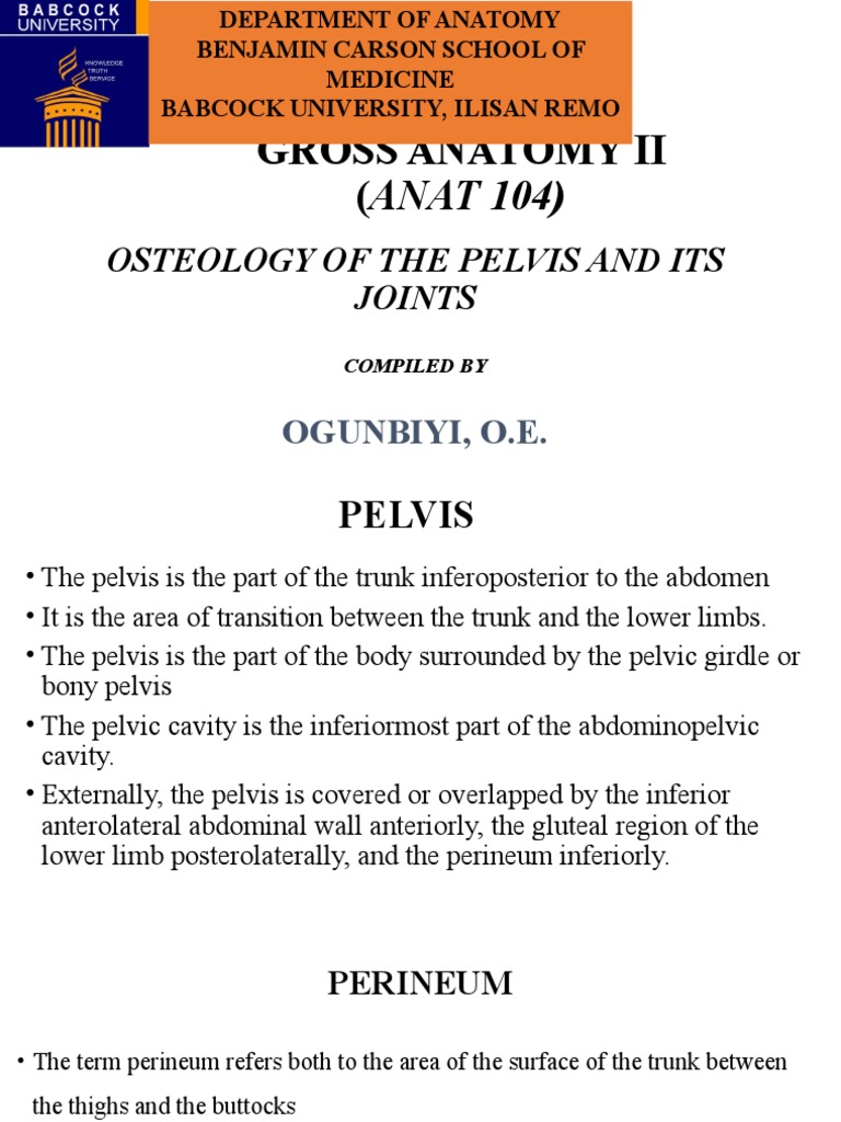 Osteology of the Pelvis and Joints | PDF | Pelvis | Anatomy