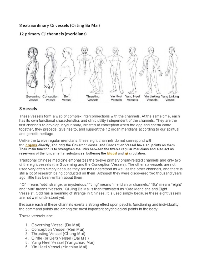 8 Extraordinary Qi Vessels | PDF | Qi | Meridian (Chinese Medicine)