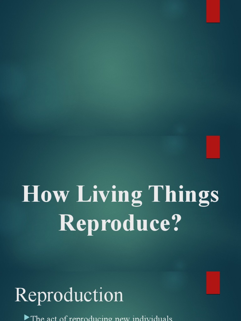 How Living Things Reproduce | Download Free PDF | Sexual Reproduction ...