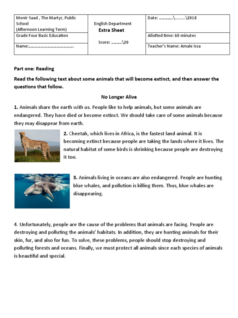 Endangered Animals Grade 4-2-1 | PDF | Endangered Species | Extinction