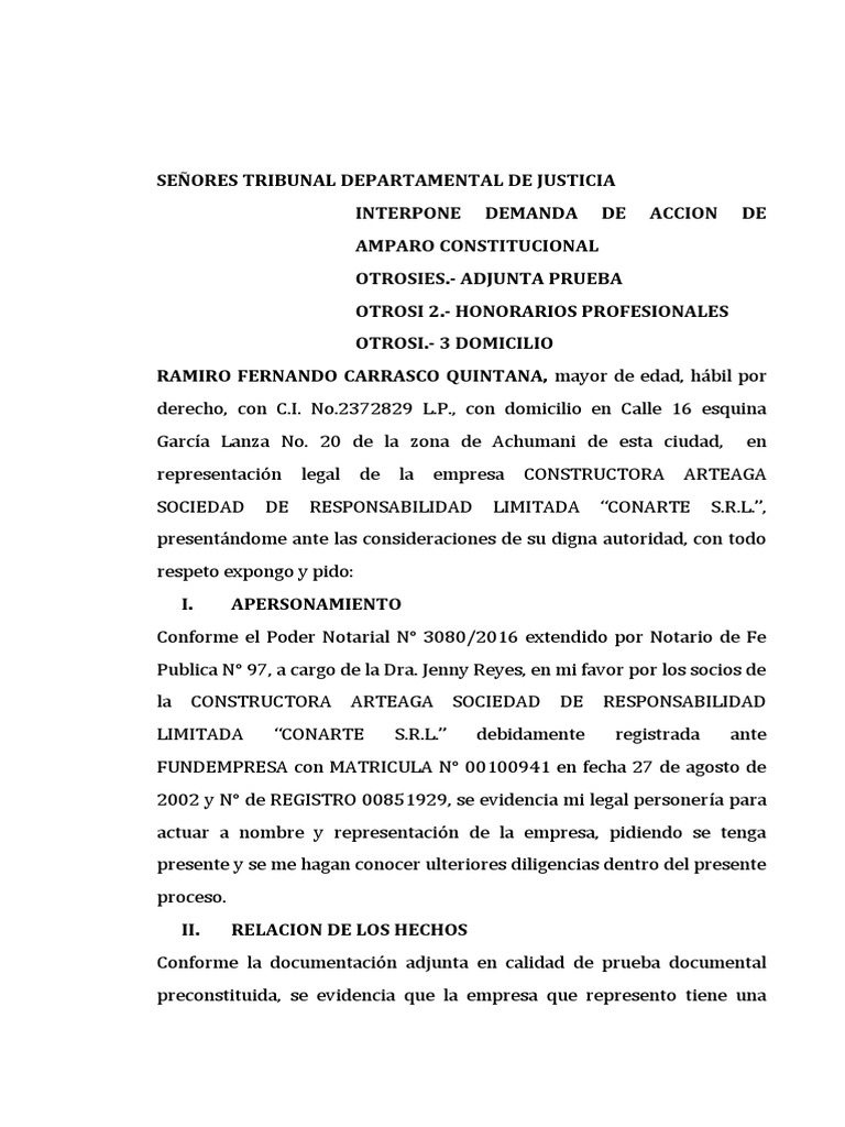 Acción de Amparo Modelo | PDF | Derecho privado | Conceptos legales
