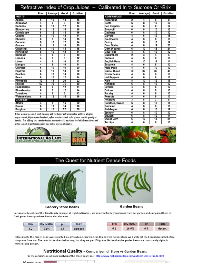 Brix Chart PDF | PDF | Bean | Vegan Cuisine