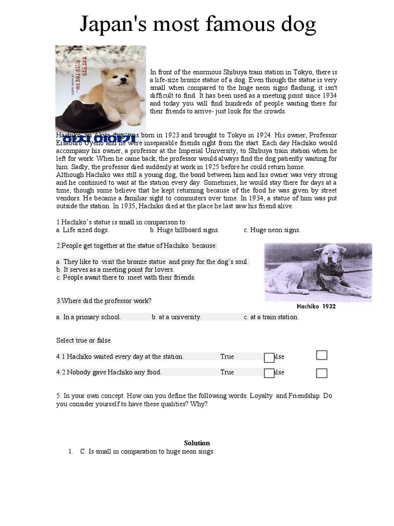 Hachiko: Japan's Loyal Akita Legend | PDF | General Fiction