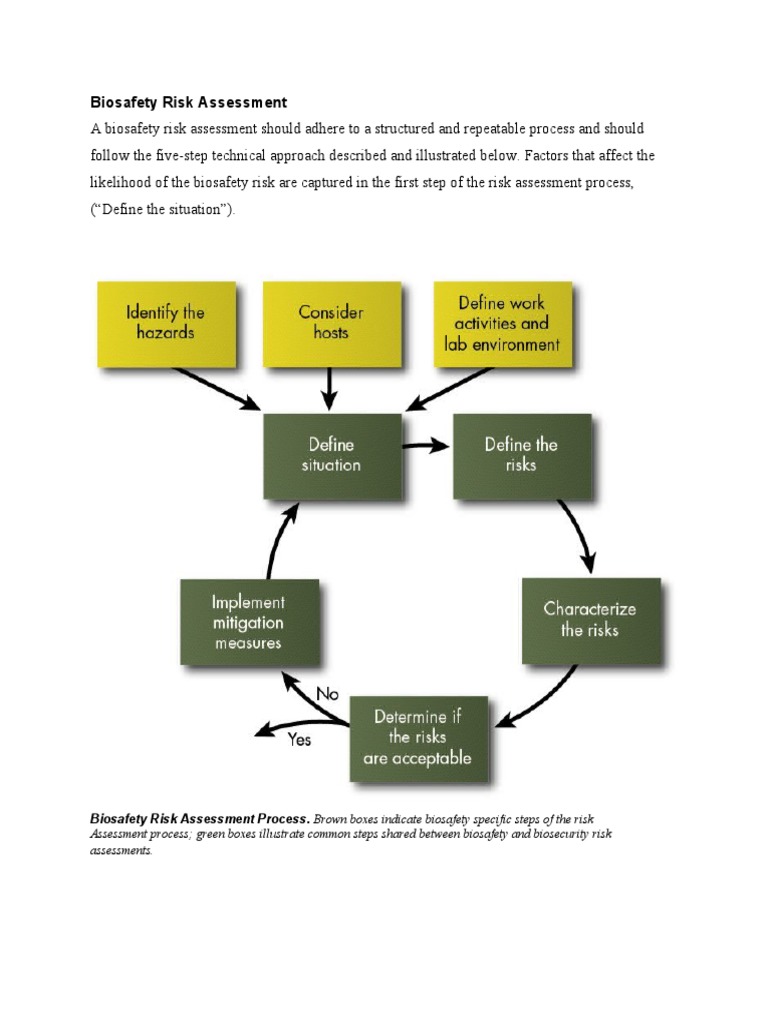 Biosafety Risk Assessment Outline | PDF | Computers