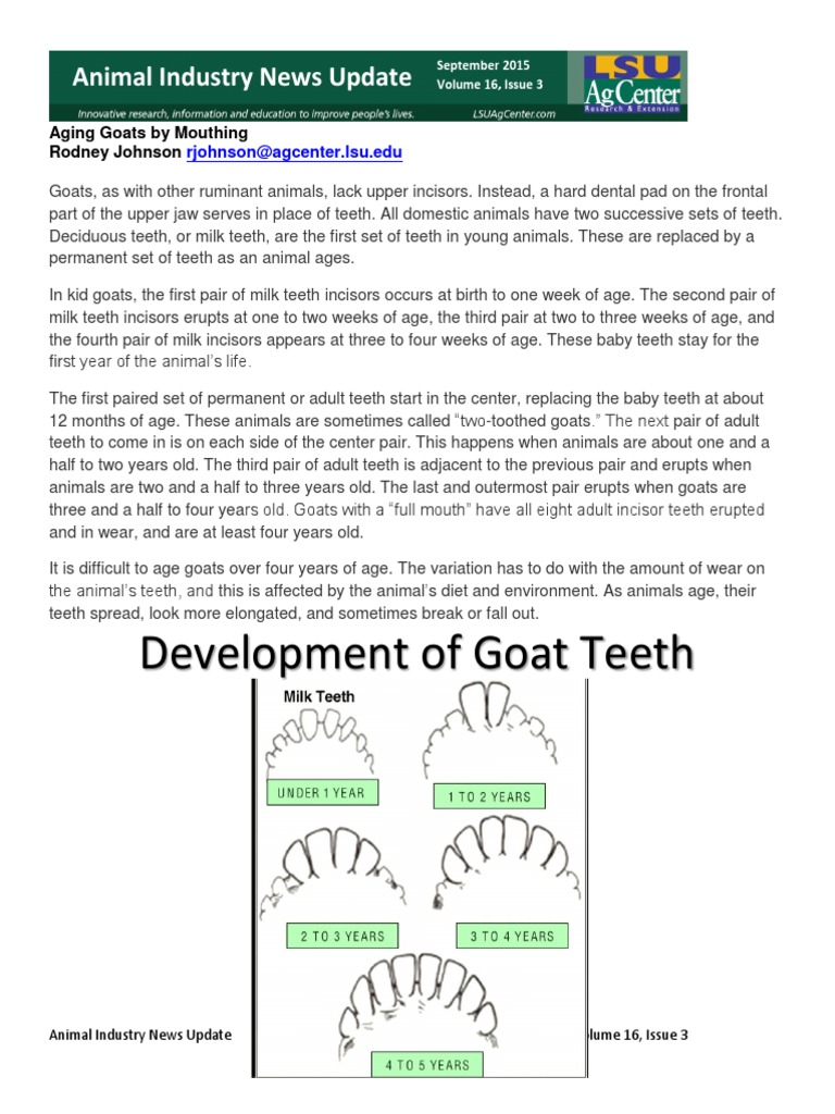 Development of Goat Teeth: Animal Industry News Update | PDF | Language ...