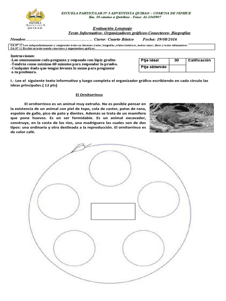 Prueba Lenguaje Texto Informativo, Organizadores Gráficos, Biografías ...