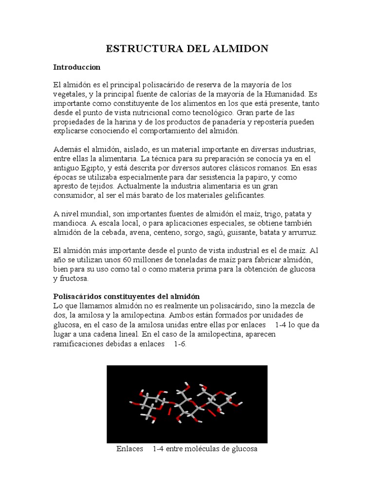 La estructura molecular del almidón: amilosa, amilopectina y ...