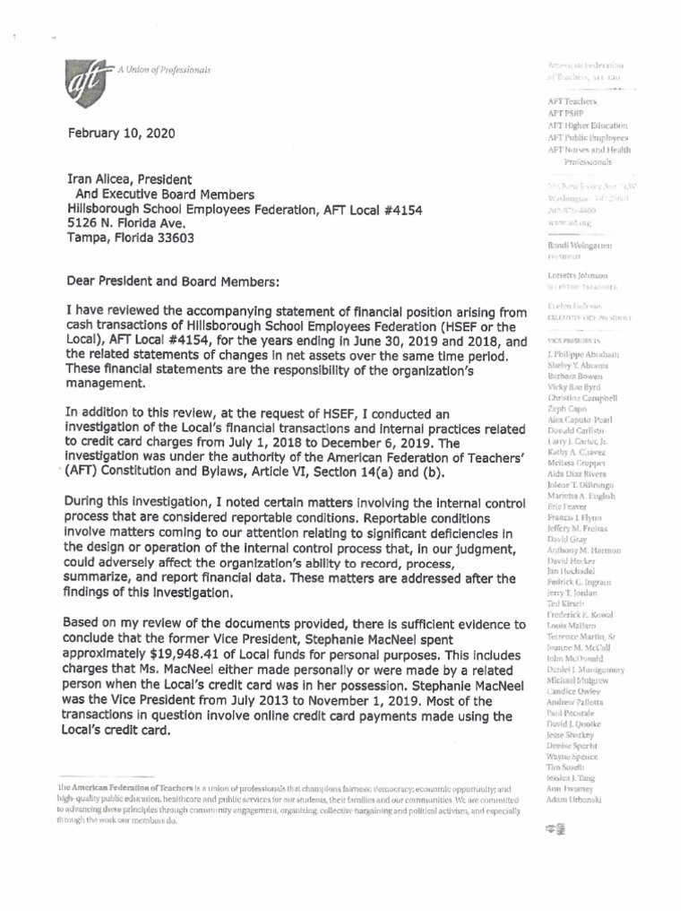 Audit of HSEF PDF | PDF