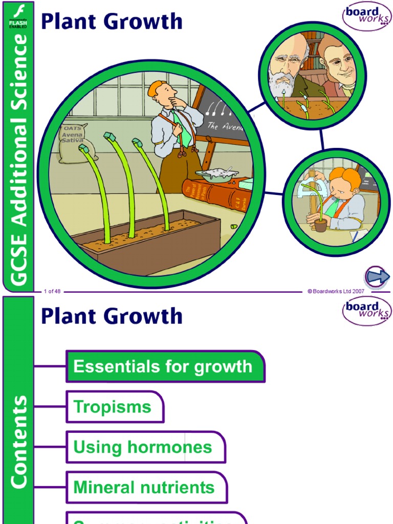 Plant Growth and Adaptations Explained | PDF | Plant Hormone | Fertilizer