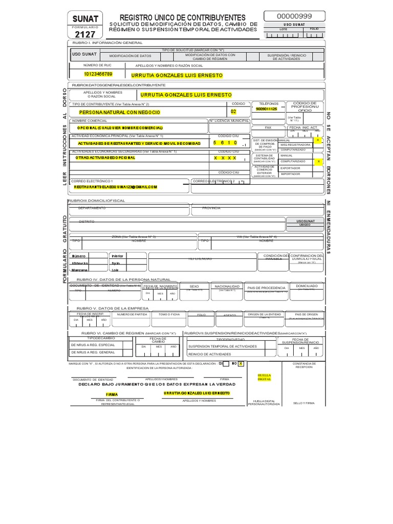 Instrucciones para el Formulario 2127 SUNAT | PDF | Business | Science