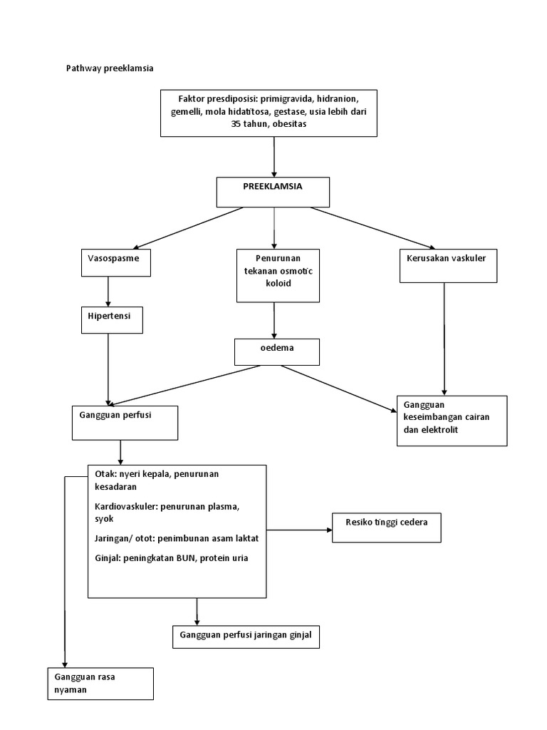 Pathway Preeklamsia | PDF