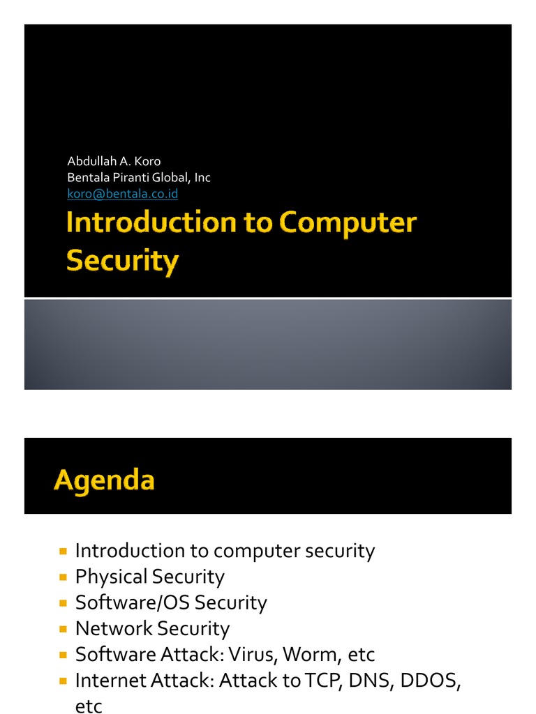 Introduction To Computer Security | PDF | Security Hacker | Computer Security
