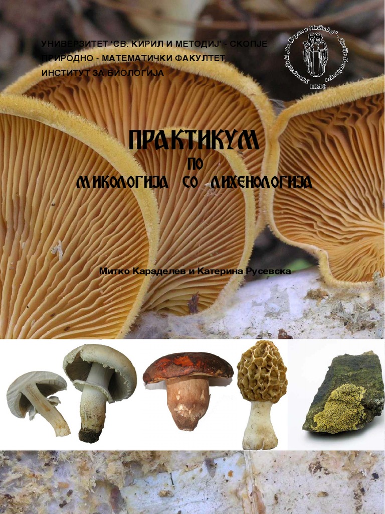 Ucebnik MIKOLOGIJA
