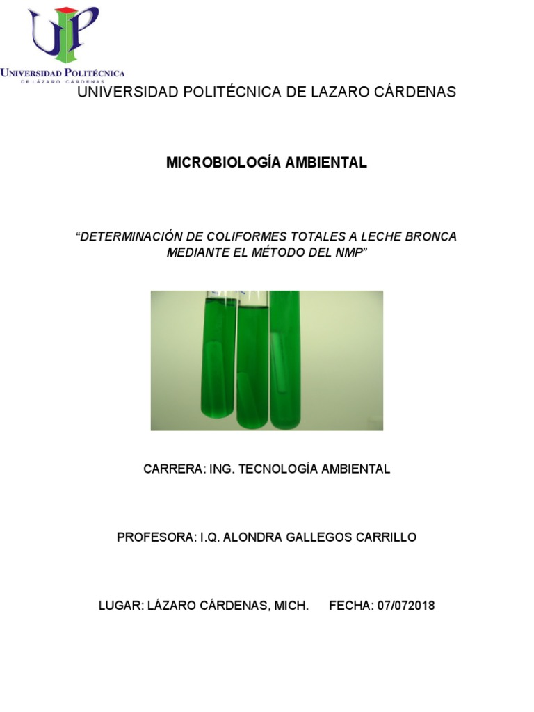 Determinación de Coliformes en Leche Cruda | PDF | Microorganismo ...