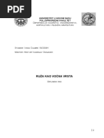 Ruze Topalovic Katalog | PDF