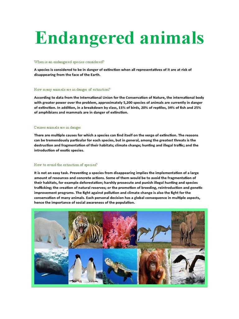 Endangered Animals: Causes and Solutions | PDF