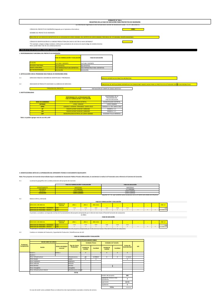 Formato 8A | PDF | Valor presente neto | Economias