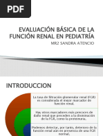Función Renal y Uroanálisis Detallado | PDF | Sistema urinario | Riñón